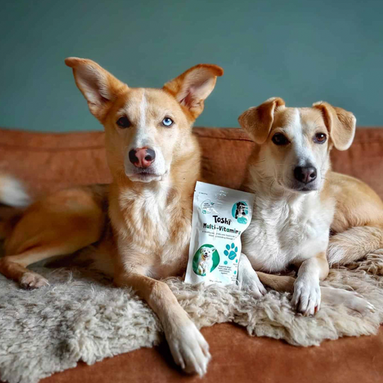 Toshi Pets - 100% natural dog biscuits with Omega-3